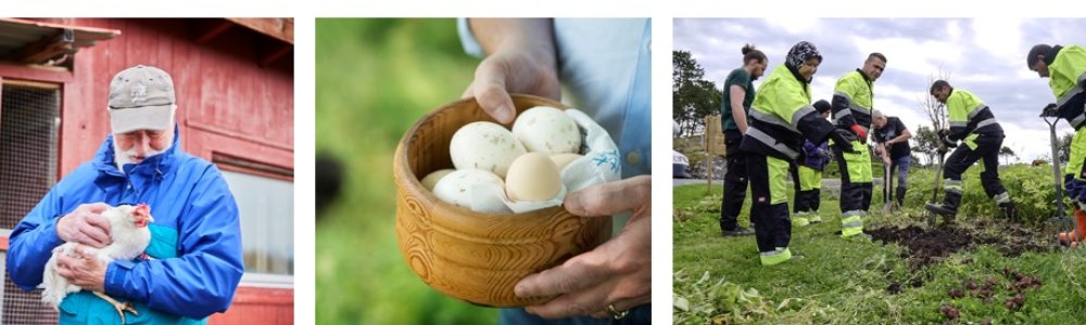 Landbruksdirektoratets nasjonale Inn på tunet-konferanse - Landbruksdirektoratet